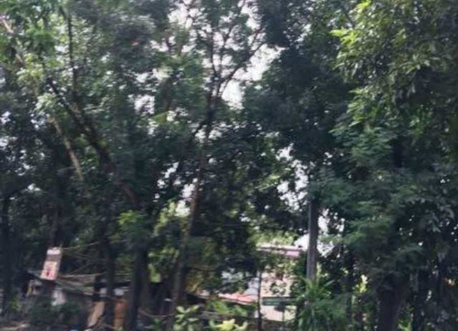 Corner Lot with Tall Trees in Antipolo Crestview Homes For Sale ...