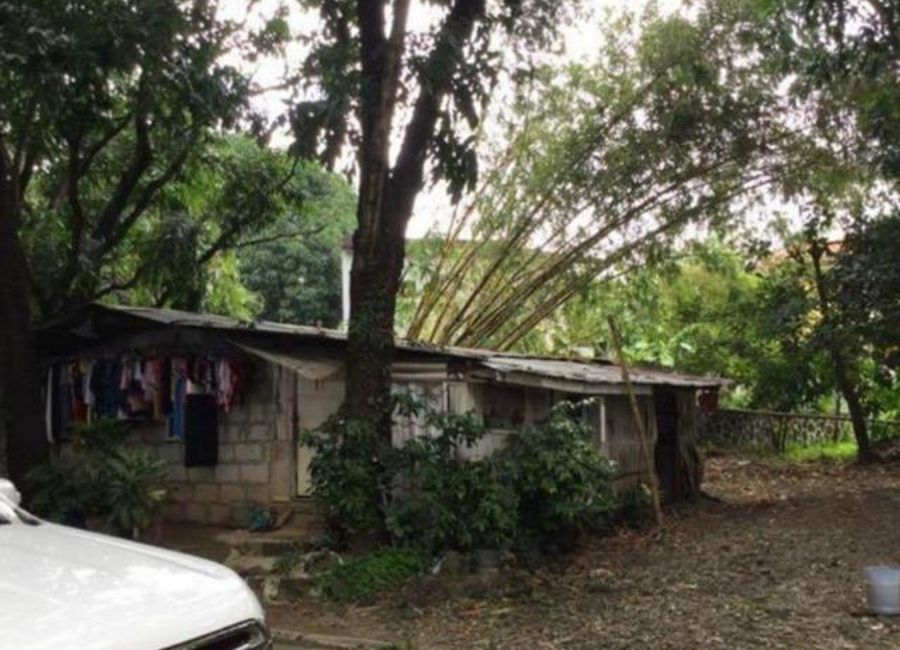 Corner Lot with Tall Trees in Antipolo Crestview Homes For Sale ...