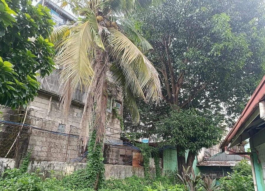 FOR SALE/LEASE - With old house in Del Nacia 4, Brgy. Sauyo, Quezon ...