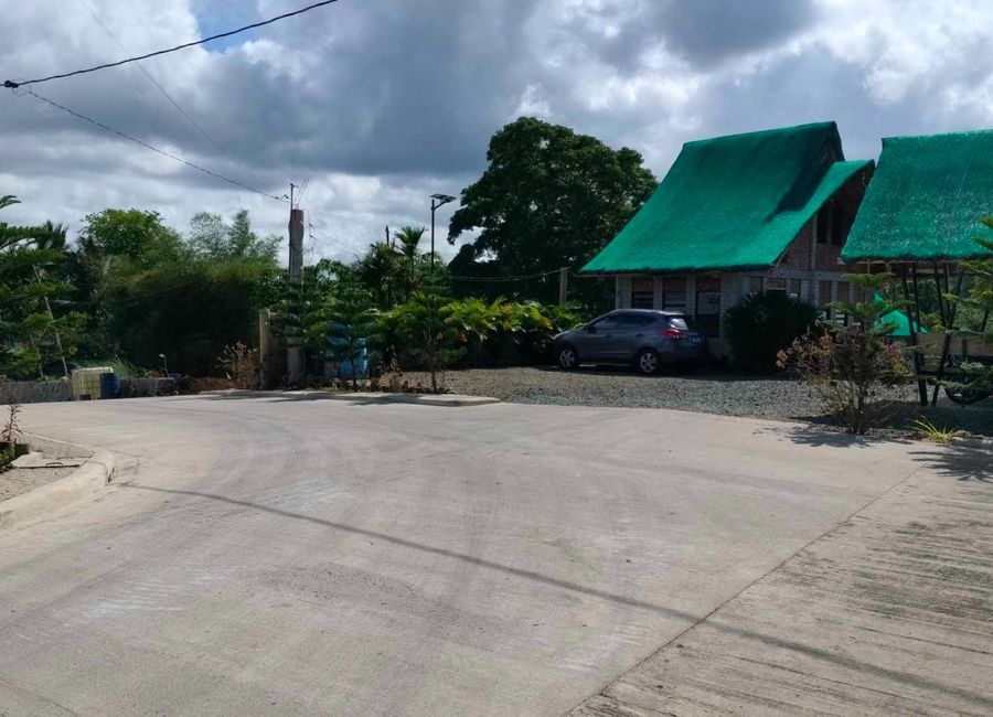 Lot for sale in Alfonso Cavite direct to buyer near Splendido Tagaytay ...
