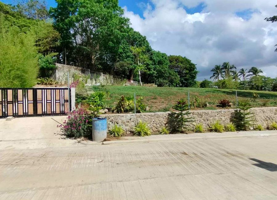 Lot for sale in Alfonso Cavite direct to buyer near Splendido Tagaytay ...
