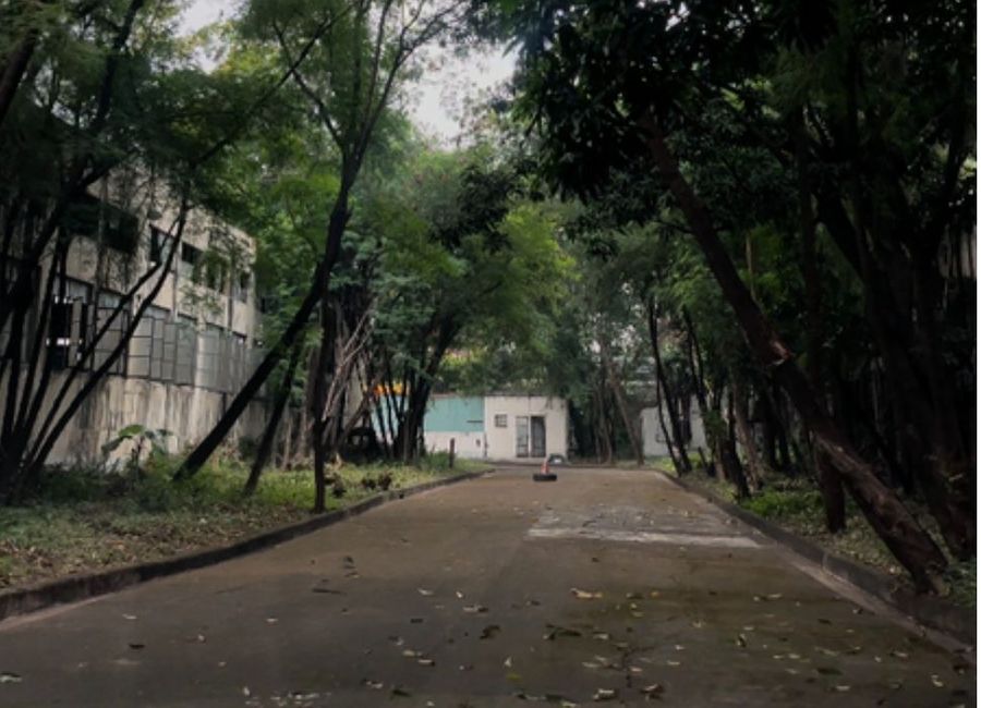 Prime Lot For Developers – West Service Road Bicutan Corridor | Lamudi ...