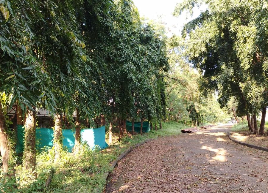 32,938 sqm Lot for Sale in West Service Road, Sun Valley, Paranaque ...