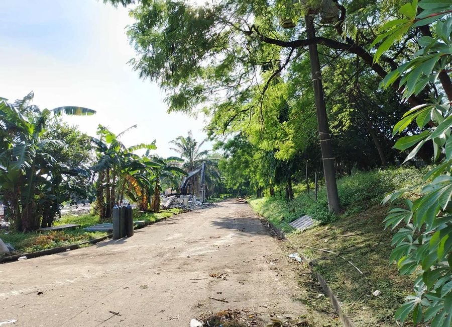 32,938 sqm Lot for Sale in West Service Road, Sun Valley, Paranaque ...
