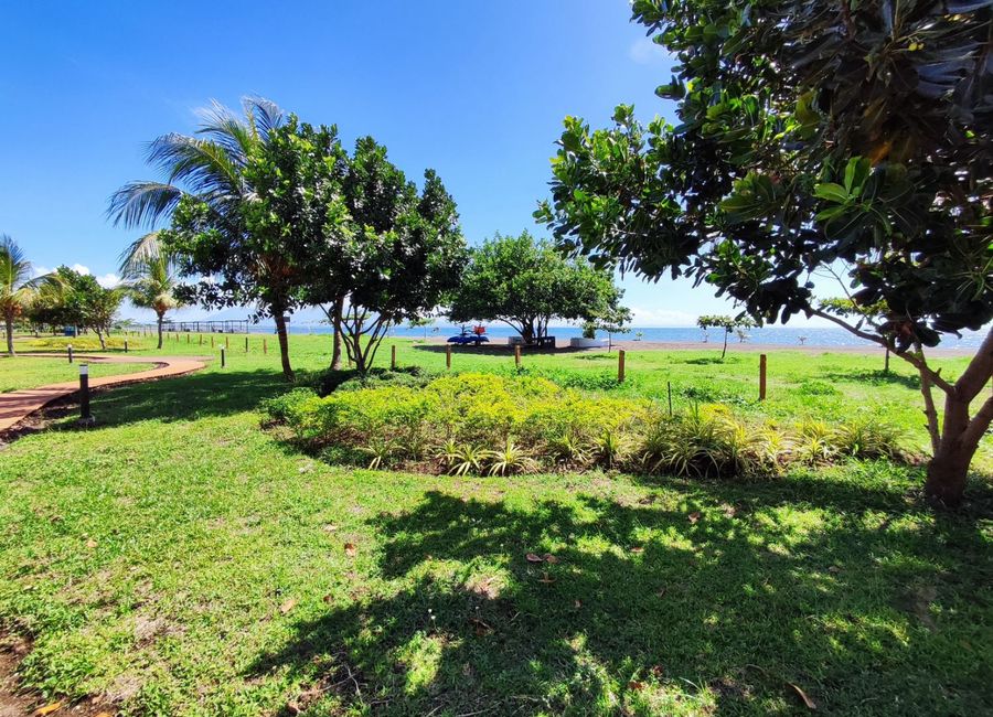 FOR SALE- 8.5M RESIDENTIAL BEACH LOT PROPERTY w/ 200 SQM, LOCATED IN ...