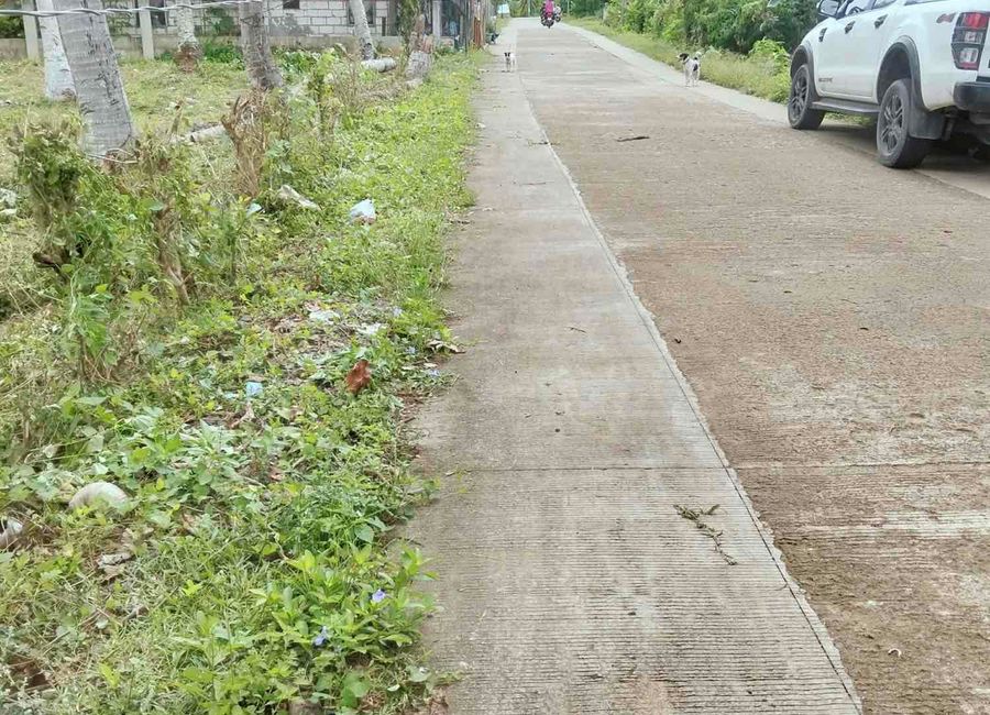 Affordable Titled Lot For Sale | Lamudi.com.ph