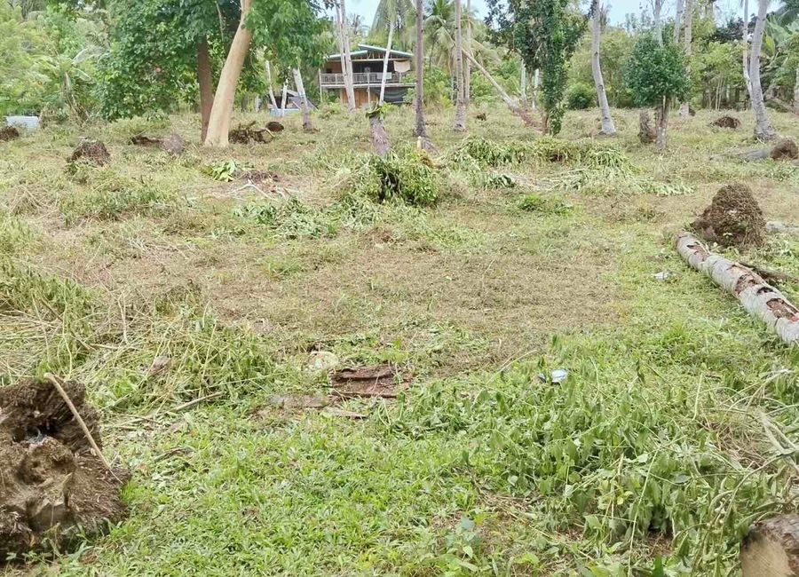 LOT FOR SALE ️941sqm - Near the Beach Affordable Titled Lot. | Lamudi ...