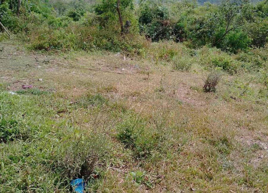 23 Hectares Land with Title at Baraka Bulacan | Lamudi.com.ph