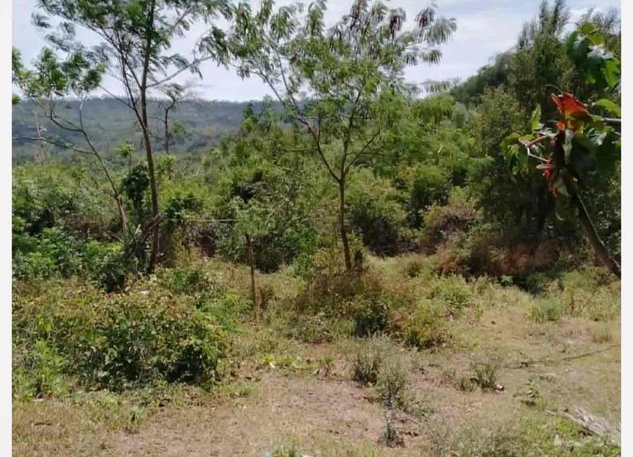23 Hectares Land with Title at Baraka Bulacan | Lamudi.com.ph