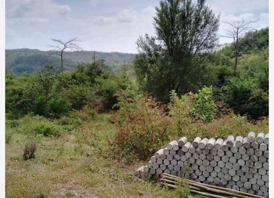 23 Hectares Land with Title at Baraka Bulacan | Lamudi.com.ph