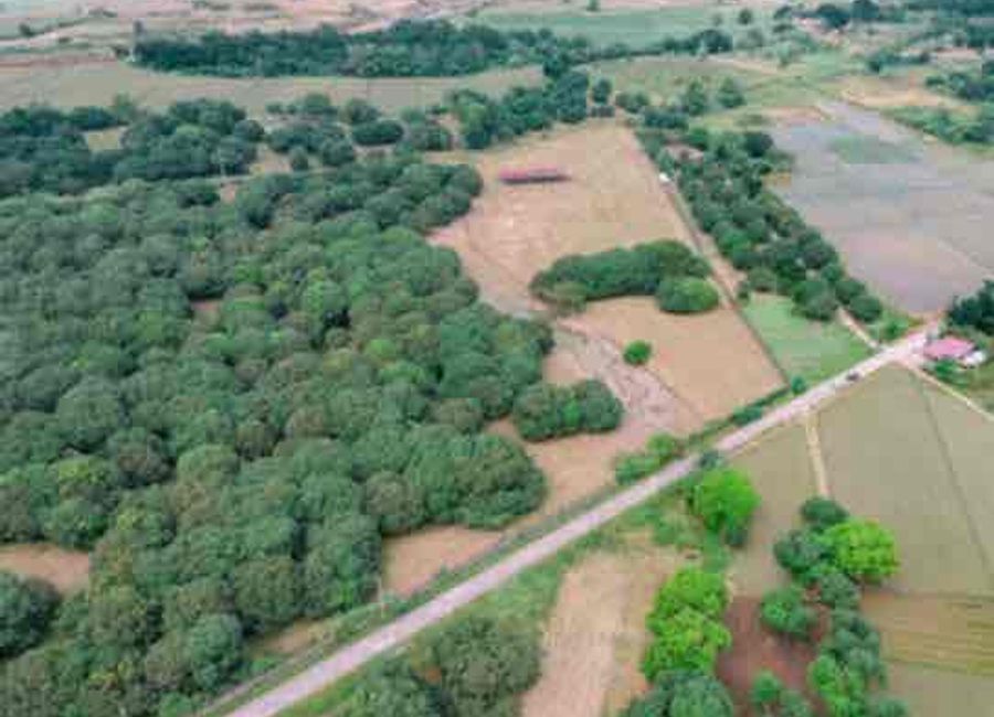 27.5 Hectares Land For Sale in Florida Pampanga | Lamudi.com.ph