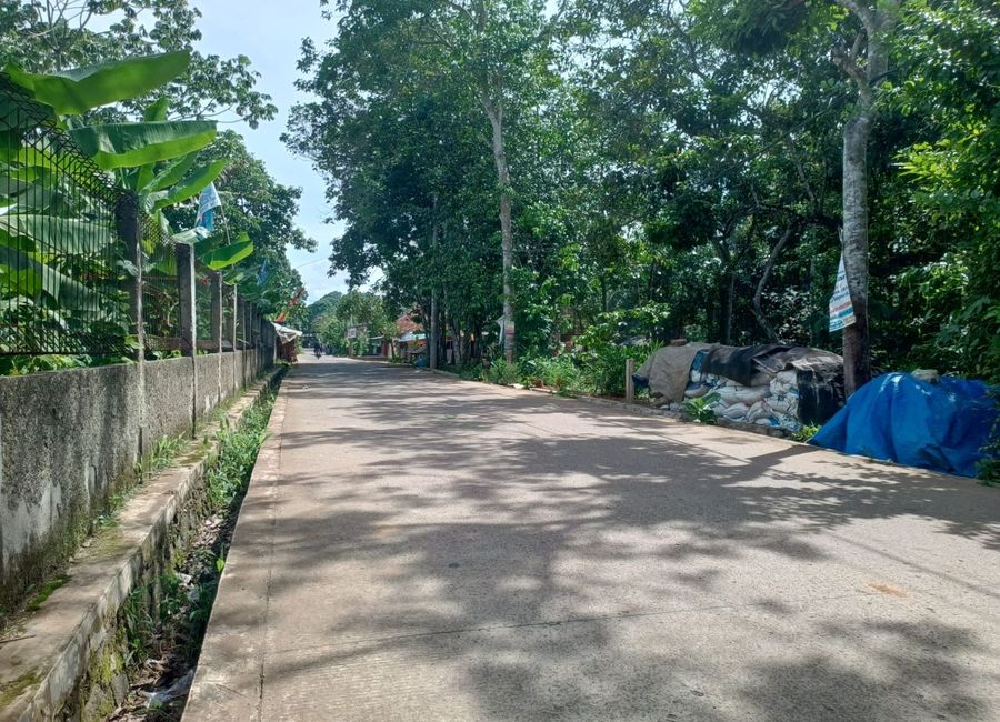 Tanah Cisauk Pinggir Jalan Termurah - SHM 1 Jtan/m - Dekat Tol/Stasiun ...