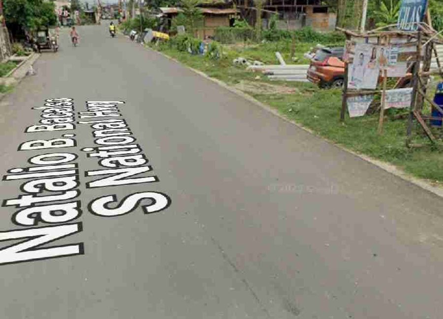 For Sale 2,735 square meters Commercial Lan in Poblacion Sibonga, Cebu ...