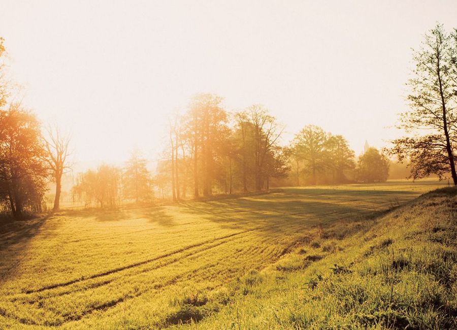 LOT FOR SALE 737 SQM | Prime Garden Residential Lots at Soliento ...