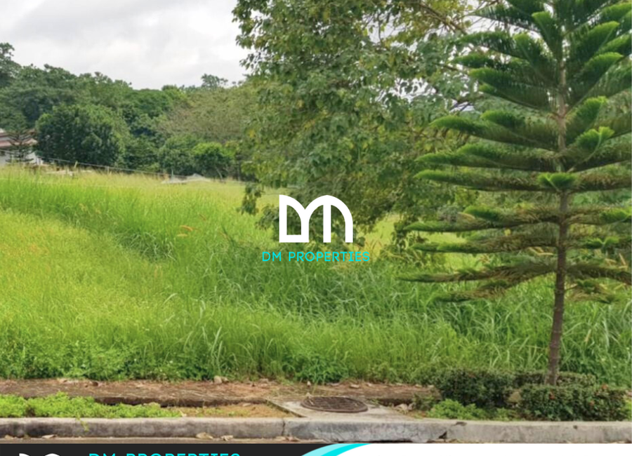 For Sale: Vacant Lot in Amiya Raya Highland Homes, C6, Road, San Mateo ...