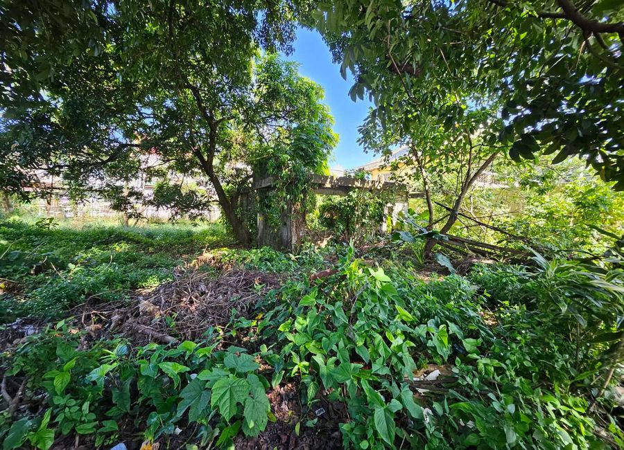 Residential Lot in a Private Subdivision For Sale | Lamudi.com.ph