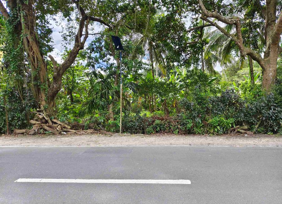 5.2 Hectares Farm Lot for Sale with Clean Title Indang Cavite | Lamudi ...