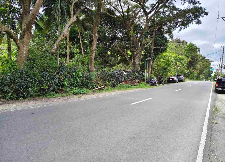 5.2 Hectares Farm Lot for Sale with Clean Title Indang Cavite | Lamudi ...