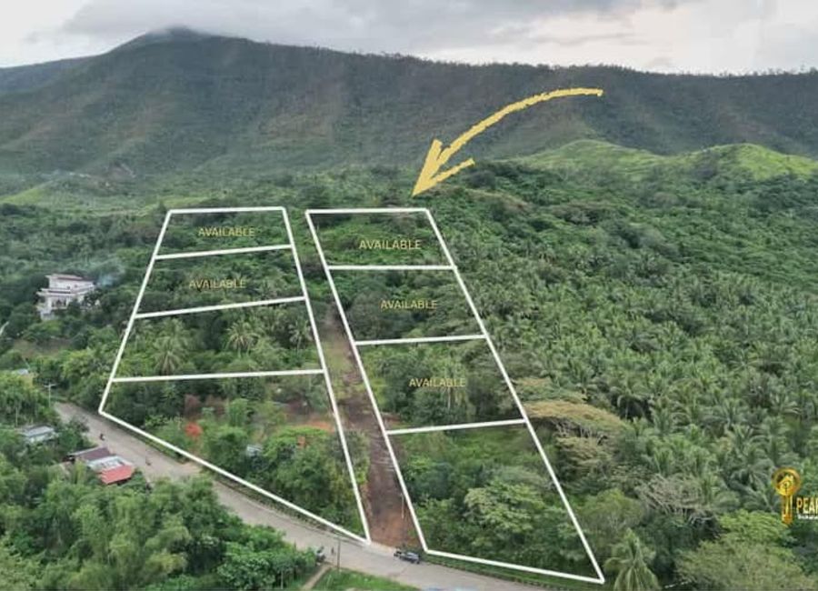 Subdivided Lot, Ideal for Your Retirement Home in Palawan | Lamudi.com.ph