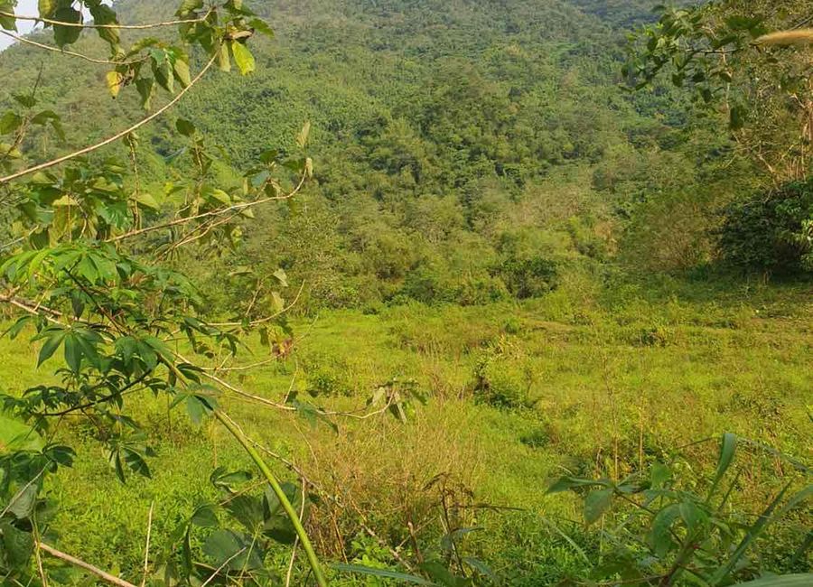 Prime 100 hectares in Tanay, Rizal For Sale | Lamudi.com.ph