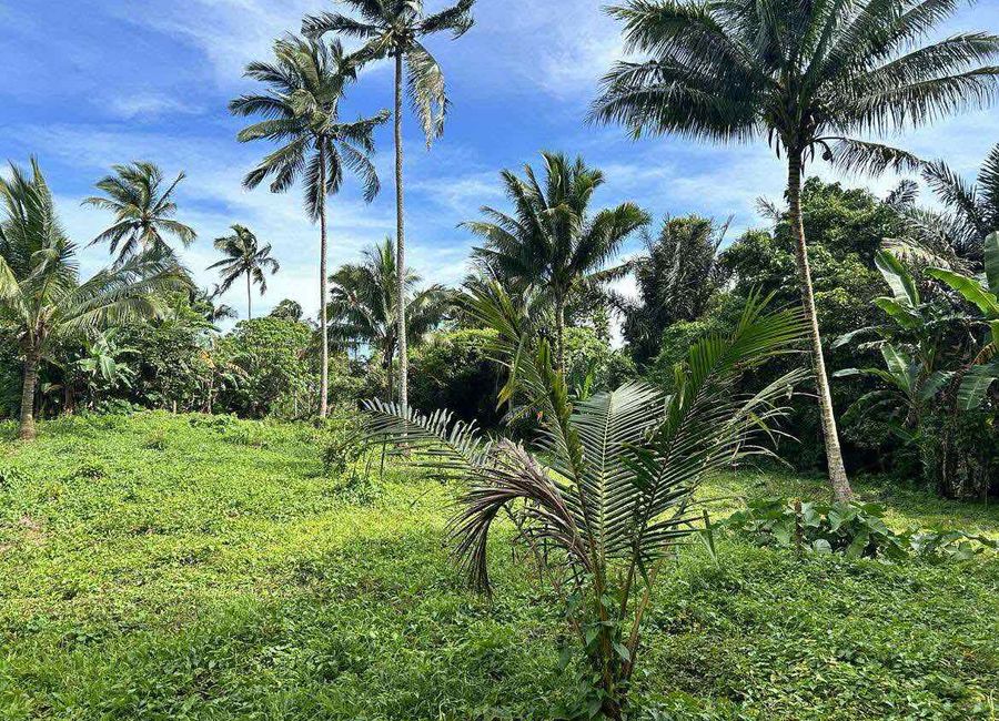 1,367 sqm Vacant Agriculttural Lot in Kaytitinga 1 Alfonso Cavite ...
