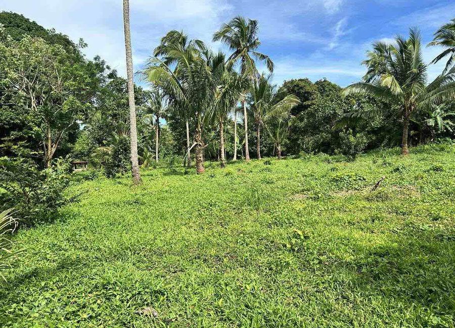 1,367 sqm Vacant Agriculttural Lot in Kaytitinga 1 Alfonso Cavite ...
