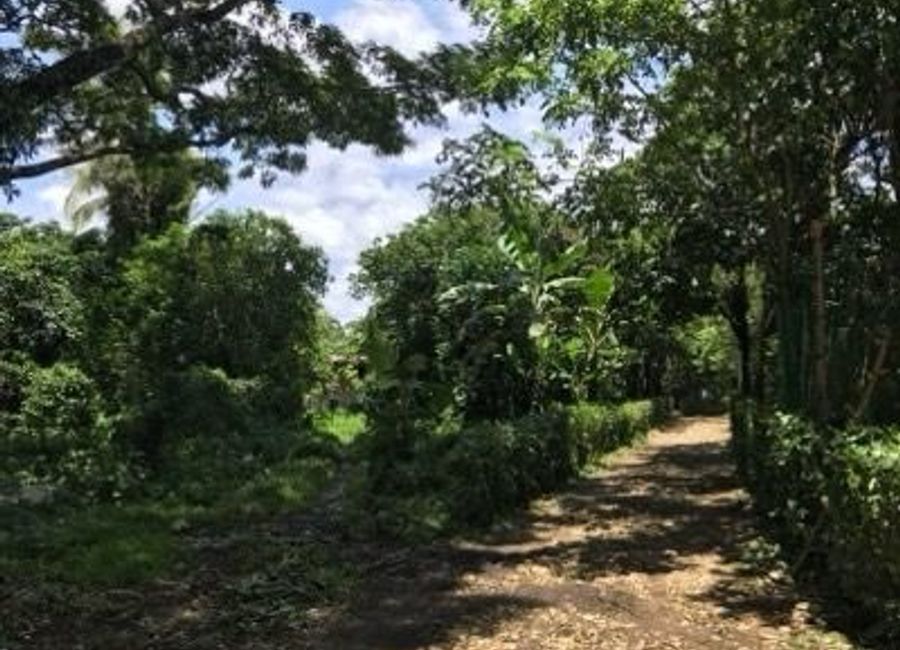 1,367 sqm Vacant Agriculttural Lot in Kaytitinga 1 Alfonso Cavite ...