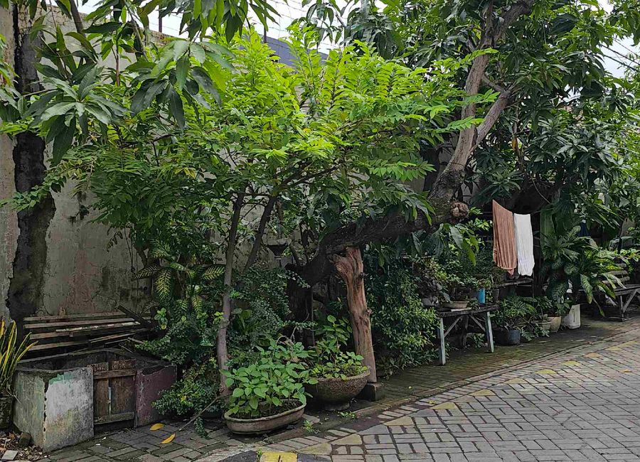 Rumah Jelek Hitung Tanah Bisa Dipecah Jadi 8 Rumah Baru Lebak Jaya ...