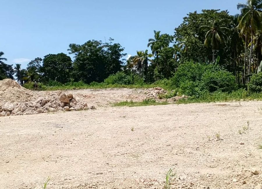 Prime 1-Hectare Property for Sale – Pangubatan, Kaputian, Samal Island ...