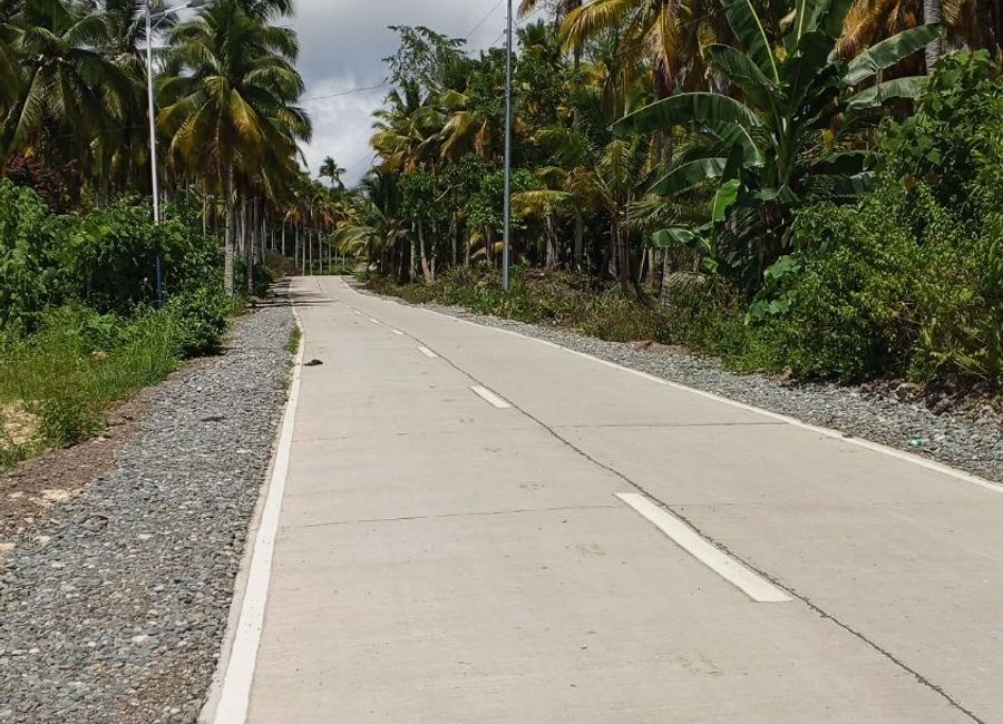 Prime 1-Hectare Property for Sale – Pangubatan, Kaputian, Samal Island ...