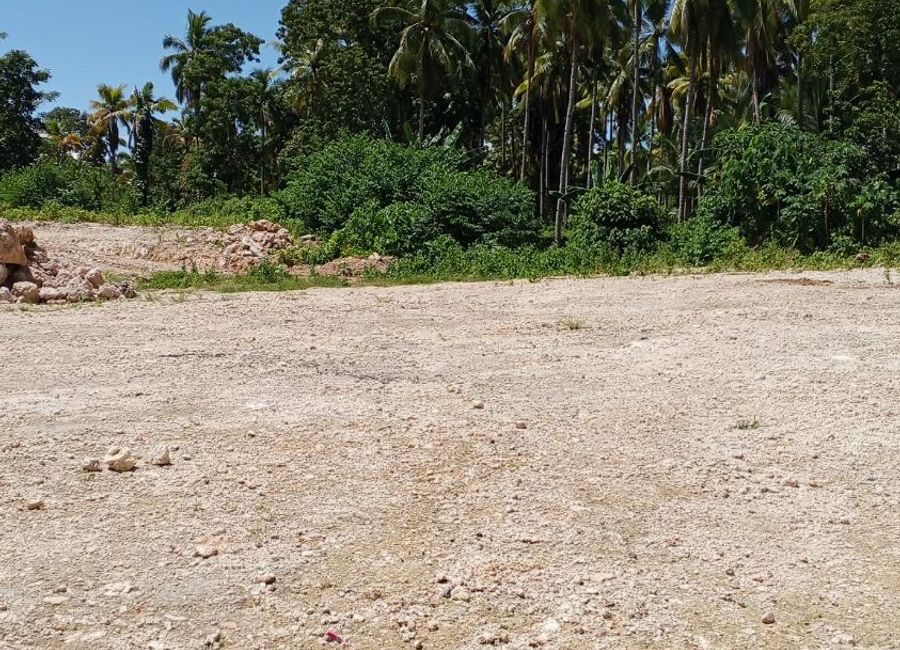 Prime 1-Hectare Property for Sale – Pangubatan, Kaputian, Samal Island ...