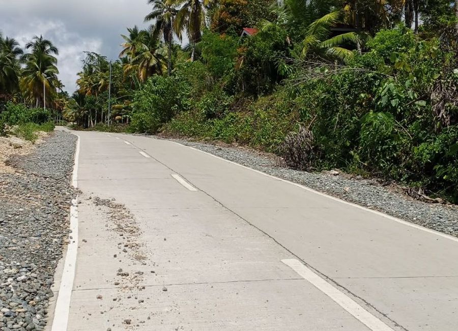 Prime 1-Hectare Property for Sale – Pangubatan, Kaputian, Samal Island ...