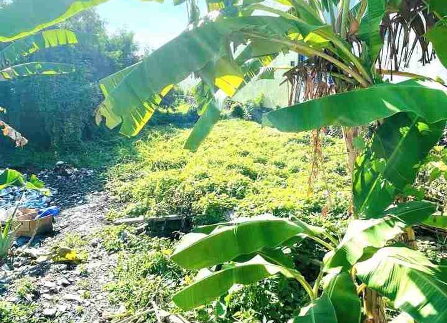 DIJUAL TANAH LOKASI KEROBOKAN KAJA KUTA UTARA | Lamudi.co.id