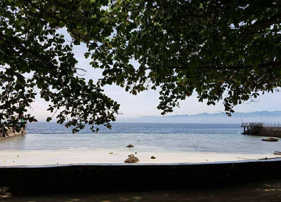 BEACH PROPERTY IN BABAK SAMAL ISLAND FOR SALE | Lamudi.com.ph