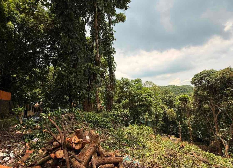 LOT FOR SALE OVERLOOKING FOREST OF HINULUGAN TAKTAK IN ANTIPOLO CITY ...