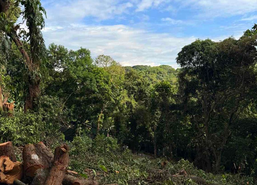 LOT FOR SALE OVERLOOKING FOREST OF HINULUGAN TAKTAK IN ANTIPOLO CITY ...