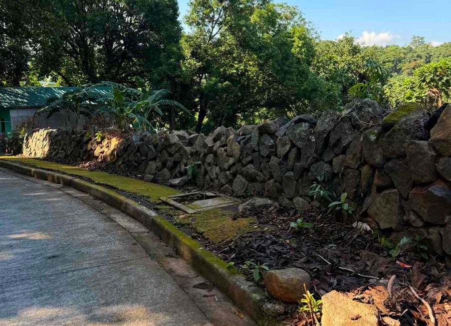 LOT FOR SALE OVERLOOKING FOREST OF HINULUGAN TAKTAK IN ANTIPOLO CITY ...