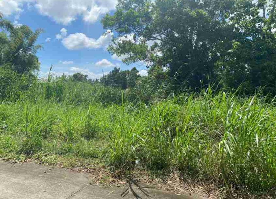 Metrogate Silang Estates - Lot residential lot gated community for sale ...