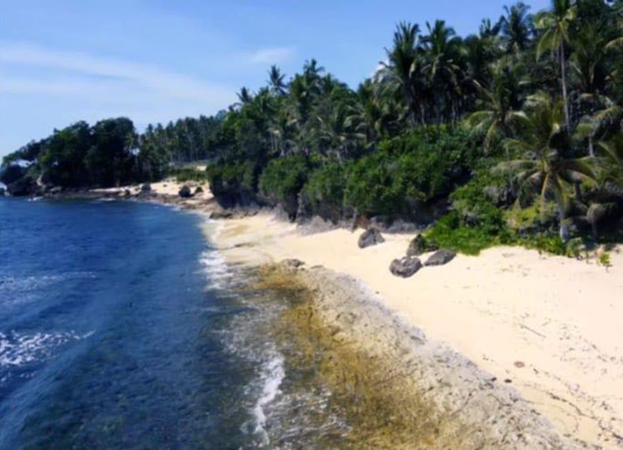 SIARGAO BEACH FRONT PROPERTY 8,811 sqm | Lamudi.com.ph