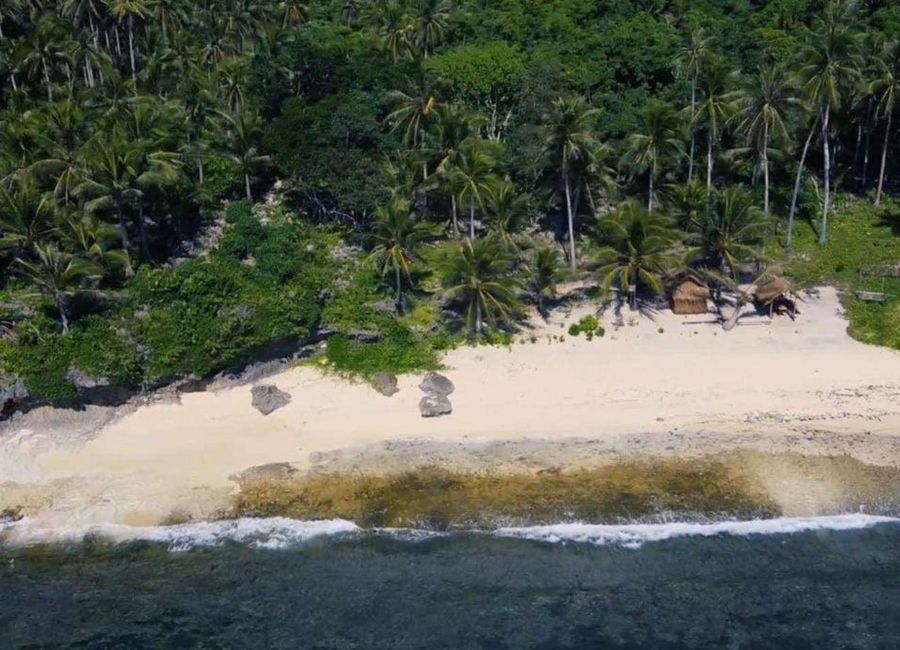 SIARGAO BEACH FRONT PROPERTY 8,811 sqm | Lamudi.com.ph