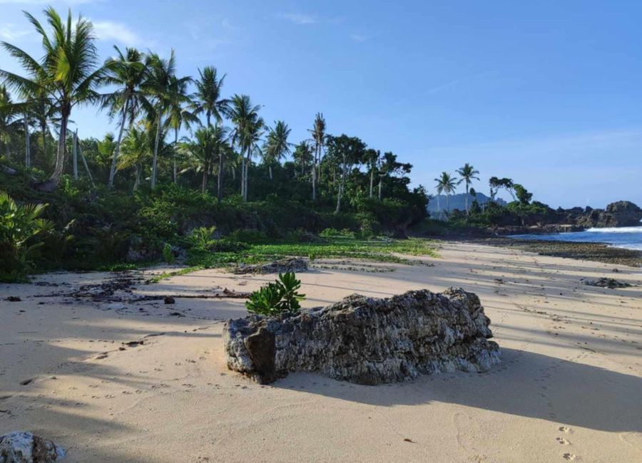 SIARGAO BEACH FRONT PROPERTY 8,811 sqm | Lamudi.com.ph
