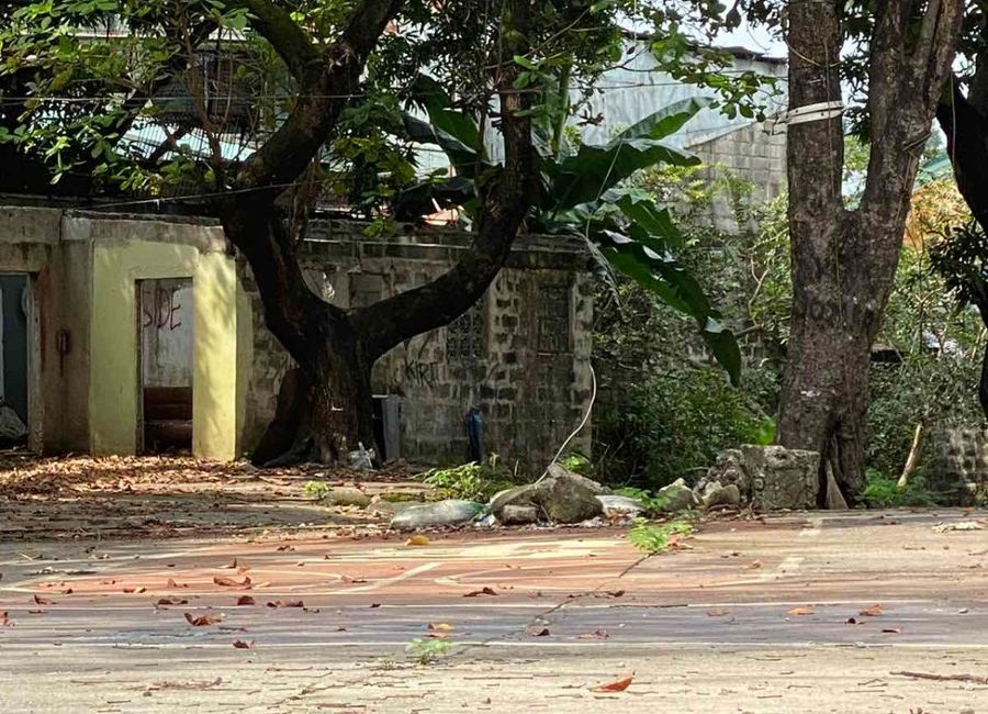 FOR SALE - Commercial Vacant Lot in Potrero, Malabon City | Lamudi.com.ph