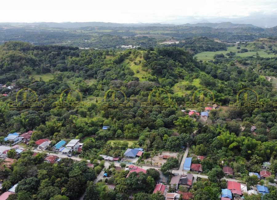 RUSH SALE ‼️ MANGO FARM IN BAMBAN TARLAC UPHILL WITH OVERLOOKING VIEW ...