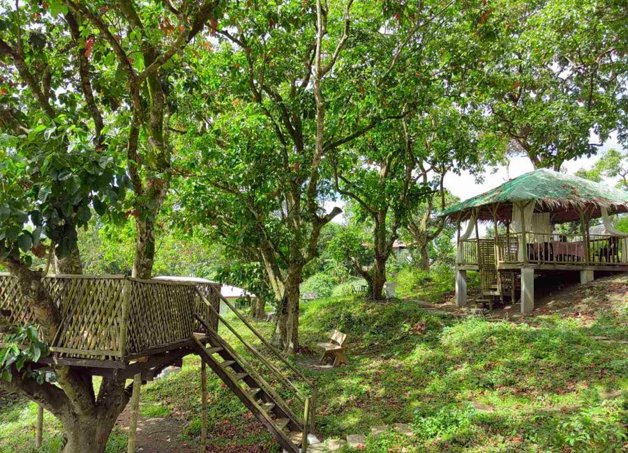Income Generating Farm Lot for Sale in San Jose Del Monte Bulacan ...