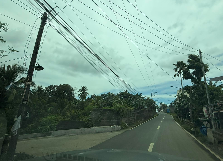 Spacious Farm Lot Surrounded by Fruit Bearing Trees FOR SALE in Lipa ...