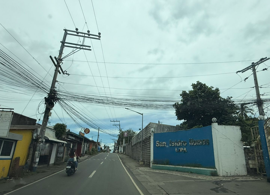 Spacious Farm Lot Surrounded by Fruit Bearing Trees FOR SALE in Lipa ...