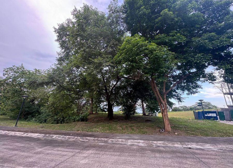 FOR SALE: 753sqm Corner Lot in Ayala Greenfield Estates Phase 8 ...