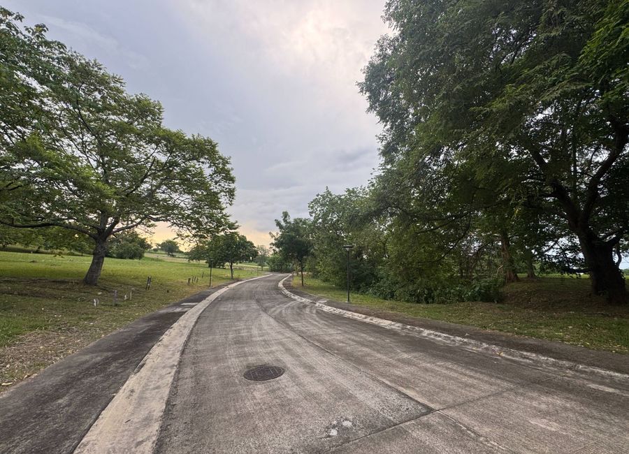 FOR SALE: 753sqm Corner Lot in Ayala Greenfield Estates Phase 8 ...