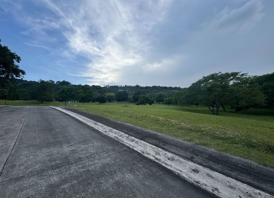 FOR SALE: 753sqm Corner Lot in Ayala Greenfield Estates Phase 8 ...