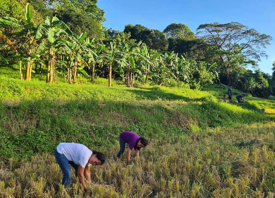 Massive 76,569 sqm. Agricultural Farm Lot for Sale in Bulacan City ...